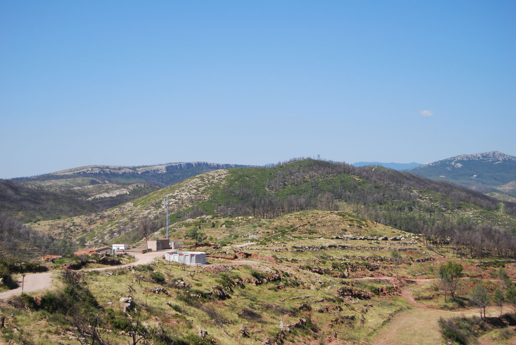 Continuem per la pista, planejant, entre suros i alzines, que rebroten ...